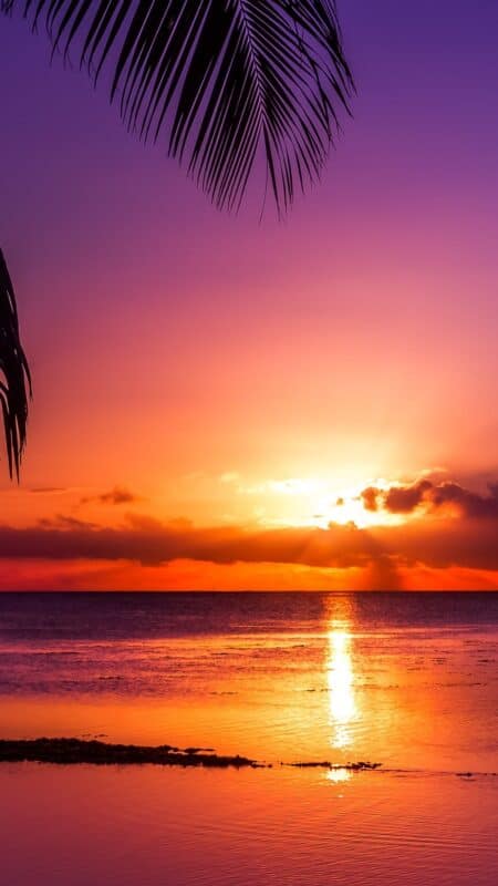25 Sunset iPhone wallpaper | Sunset iPhone background - BeCentsational